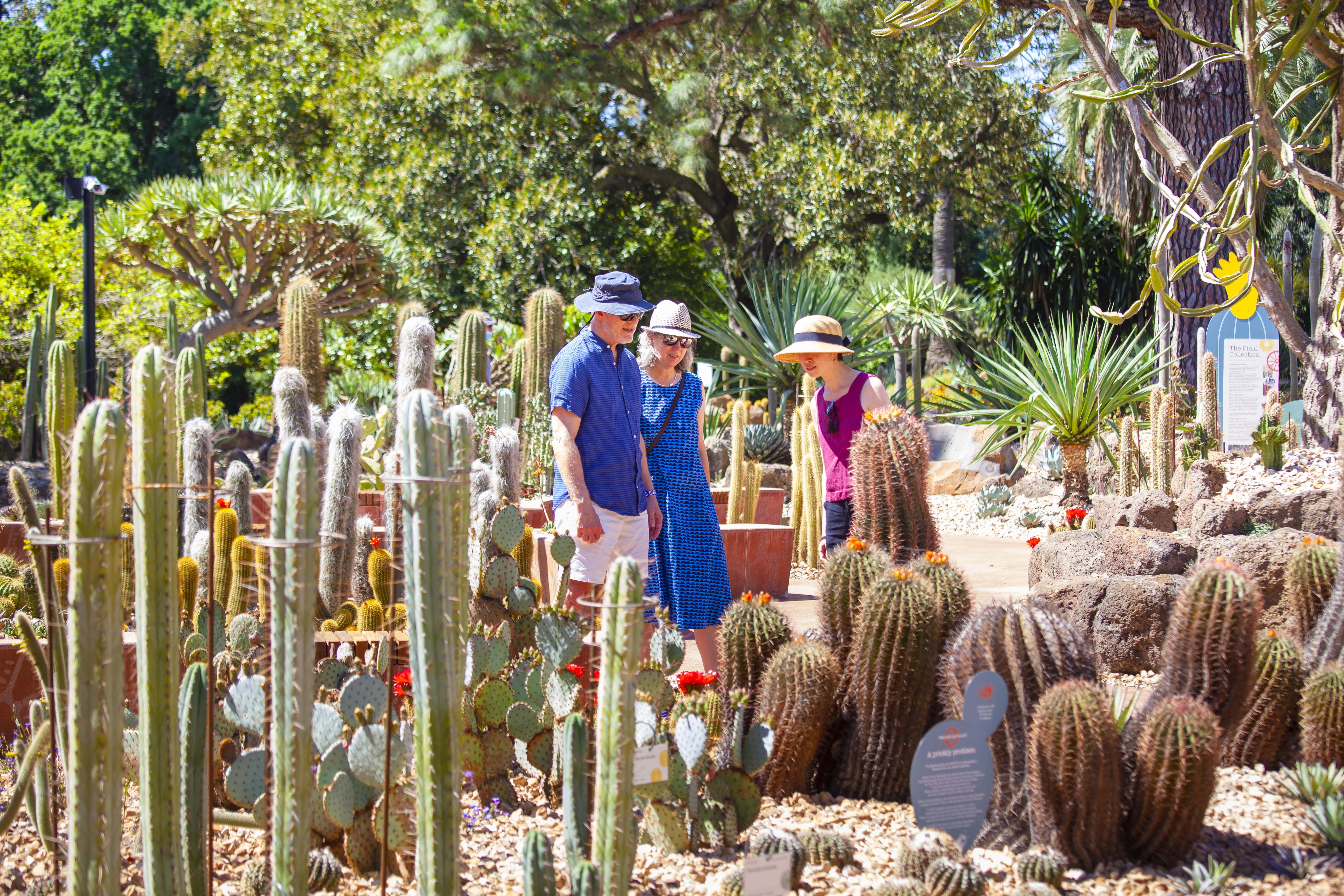 Interactive Map | Royal Botanic Gardens Victoria