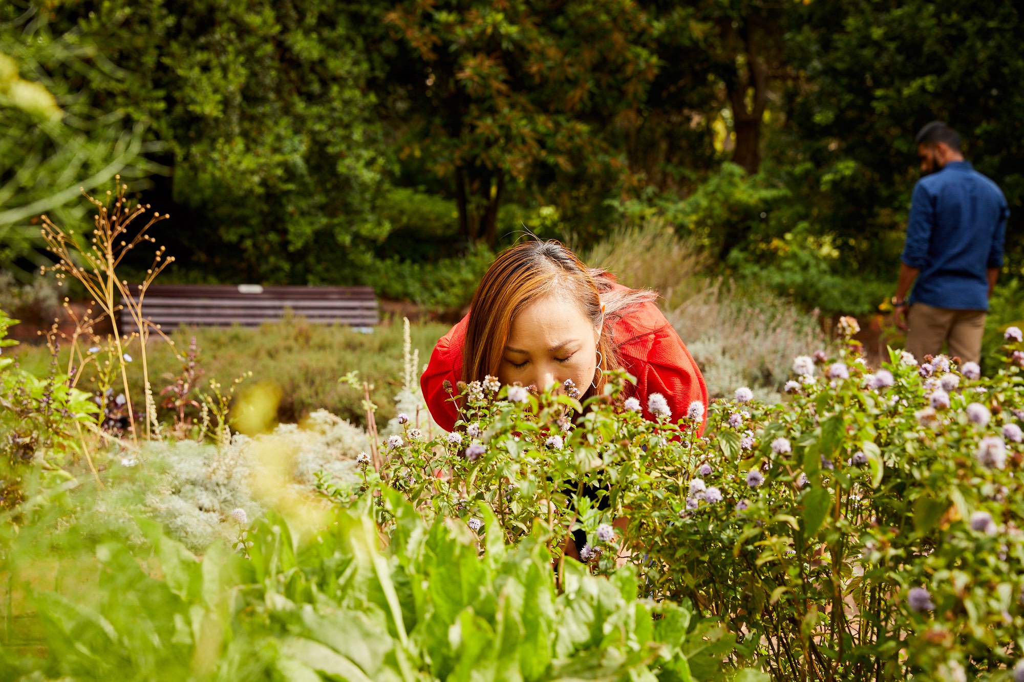 Interactive Map | Royal Botanic Gardens Victoria